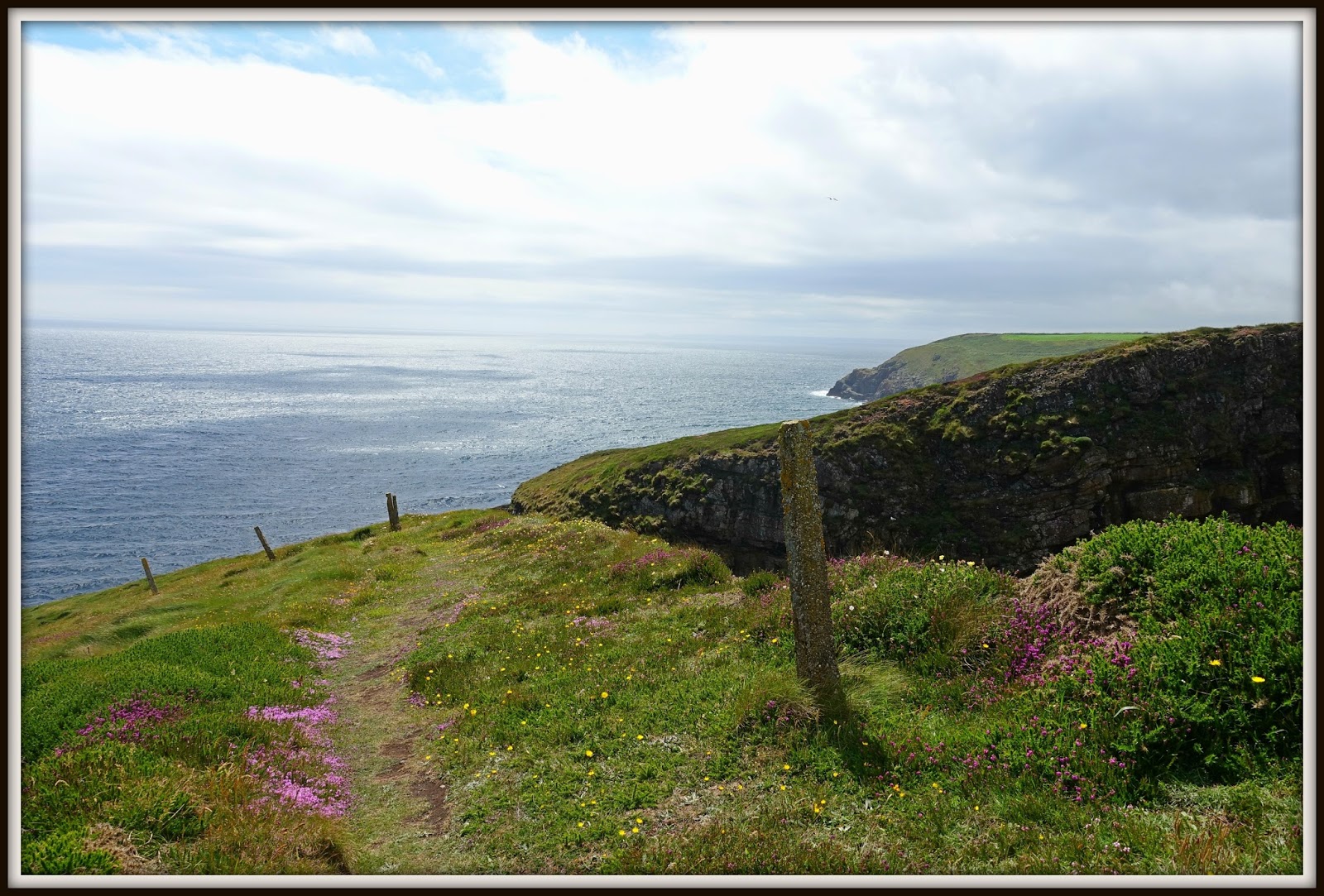 europaeuropa: Ardmore Cliff Walk