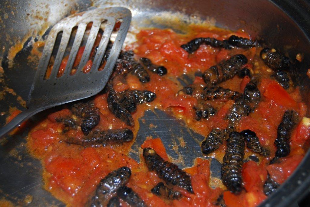 American Foundation for Children with AIDS: Mopani Worms and the Weavers