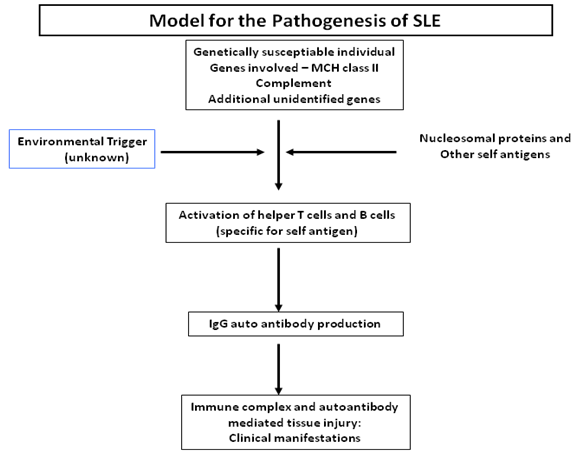 OurMedicalNotes: Systemic Lupus Erythematous (SLE)