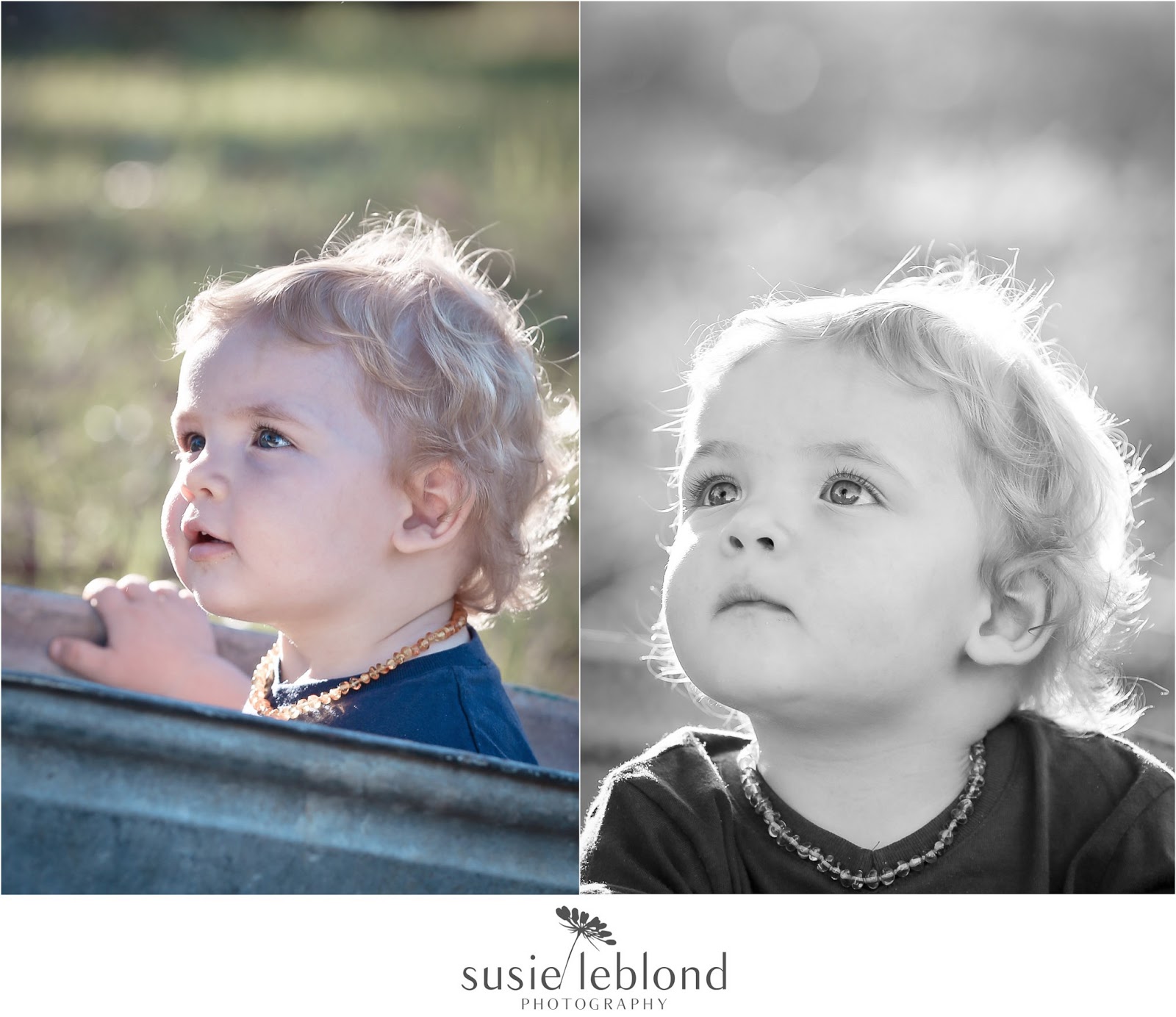 susie leblond photography: Hardiman Family