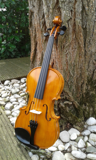 holzig: Bauprojekt Geige - (20) Fertigstellung