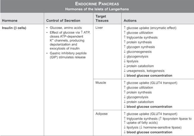 MBBS Medicine (Humanity First): Endocrine diseases list