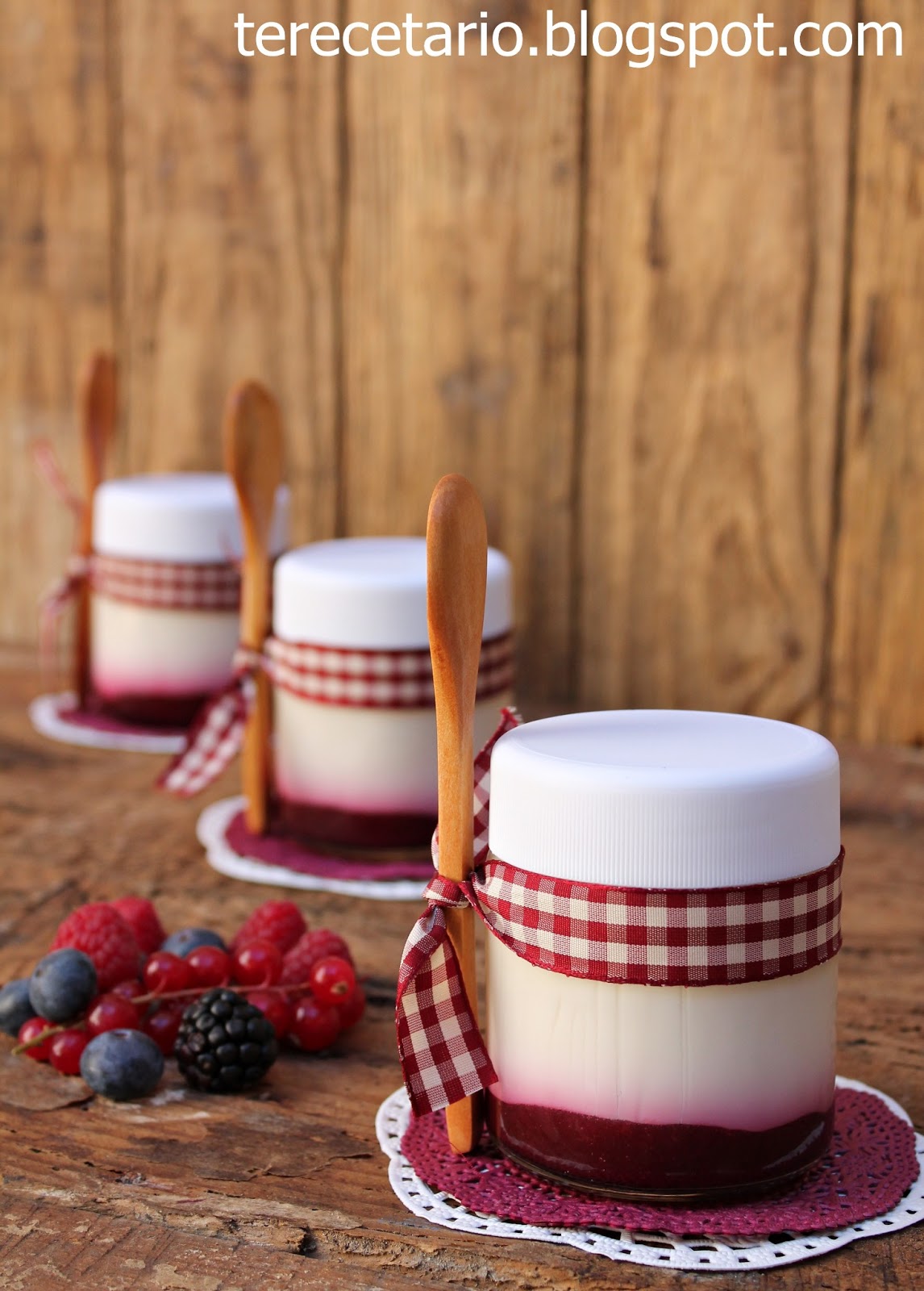 TERECETARIO: YOGURES NATURALES Y FRUTOS ROJOS