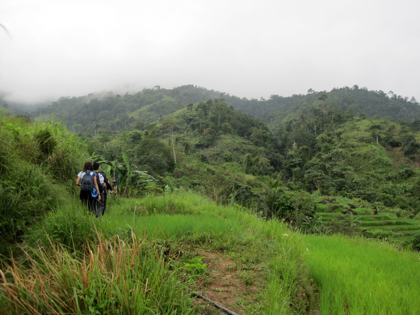 Nueva Vizcaya's Amazing Mt. Palali