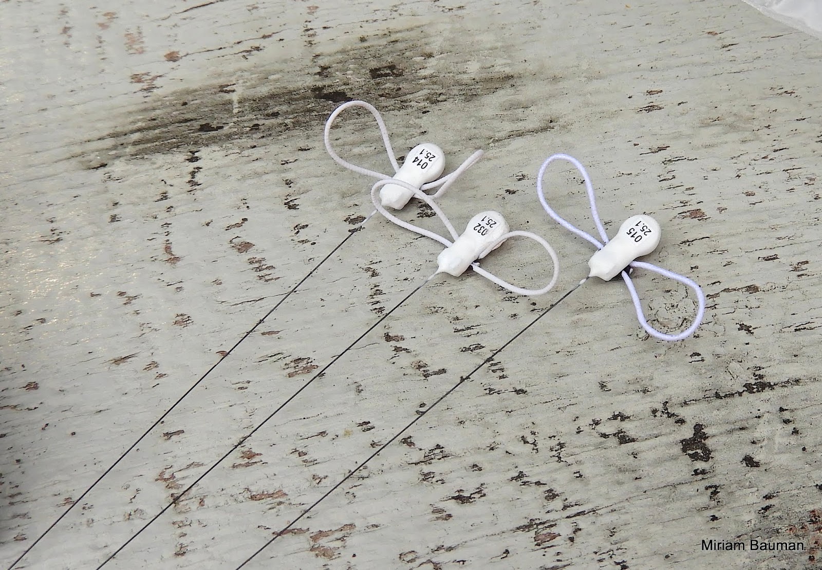 Radio Tagging Barn Swallows (Hirondelles rustiques) at SpruceHaven and ...