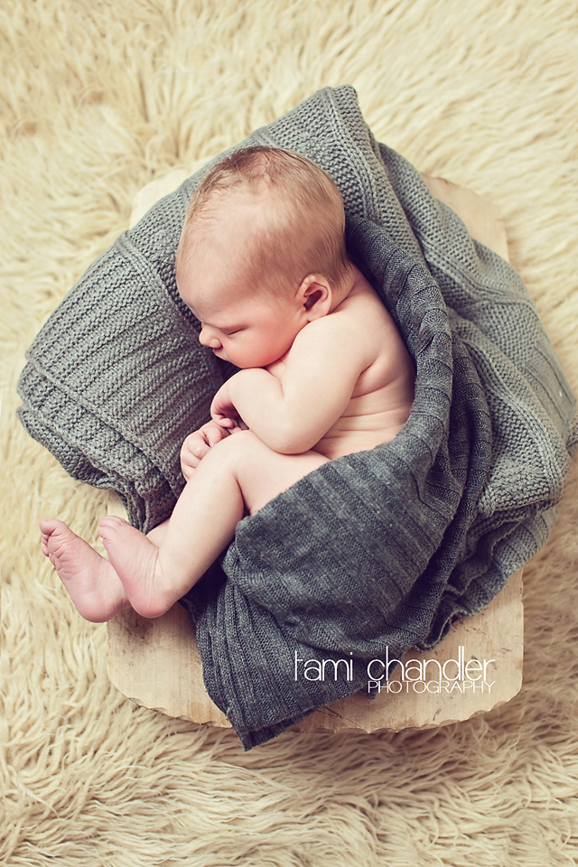 Tami Chandler Photography