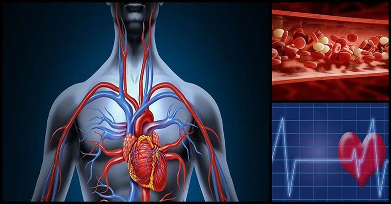 Natural Ways To Improve Blood Circulation | Dr Farrah MD