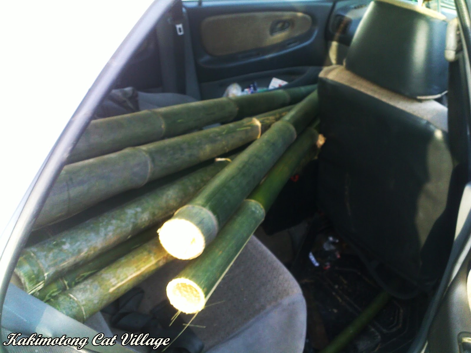 Pangkin Buluh Untuk Si Comel