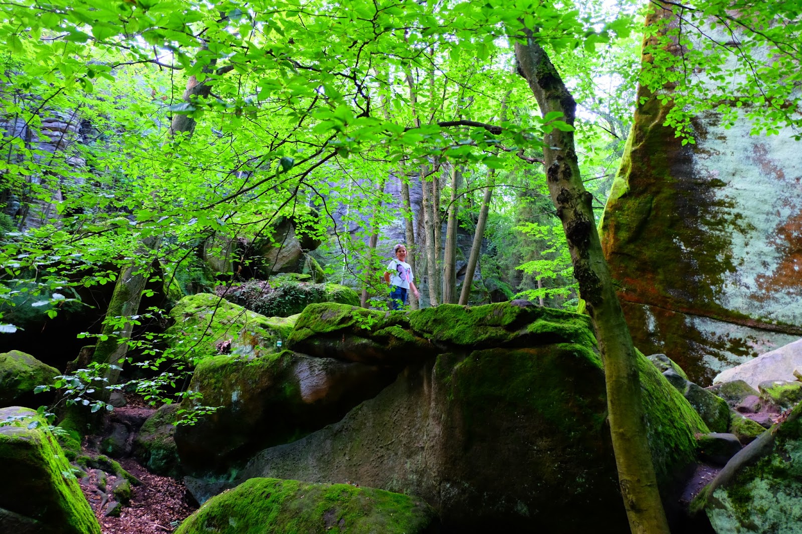 Noriu ir keliauju: Aplink Čekiją automobiliu, I dalis