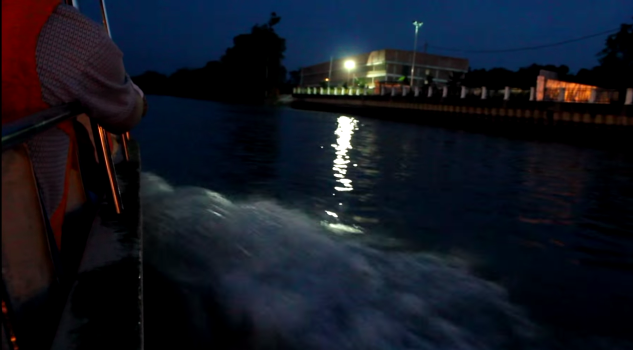 Tempting East: 8 TOP SPOTS TO SEE FIREFLIES IN MALAYSIA