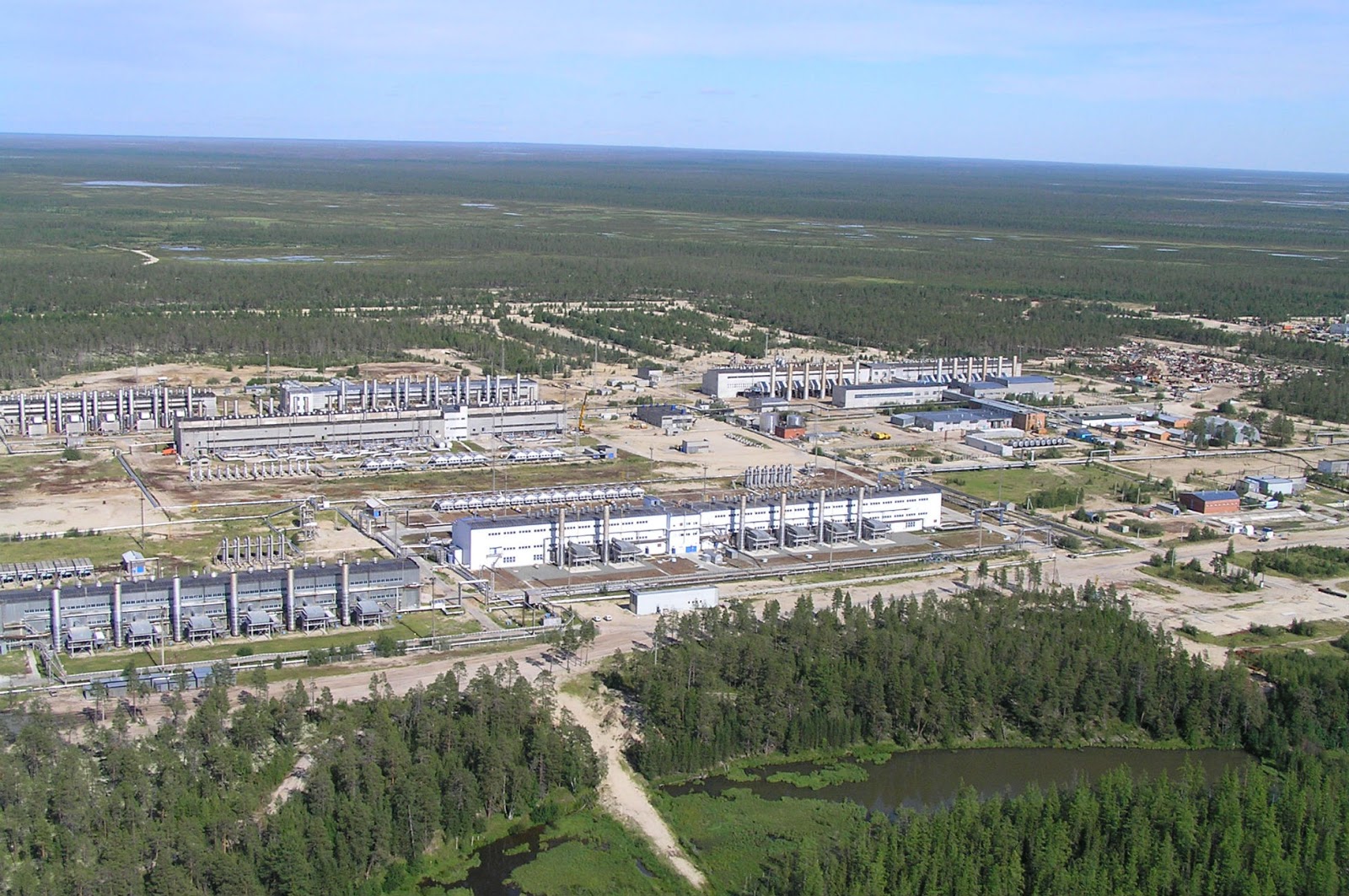 Parallel 65 North: Siberia will teach you!