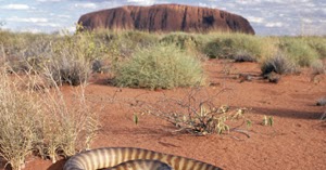 gavinj.net: Python - virtualenv is your friend