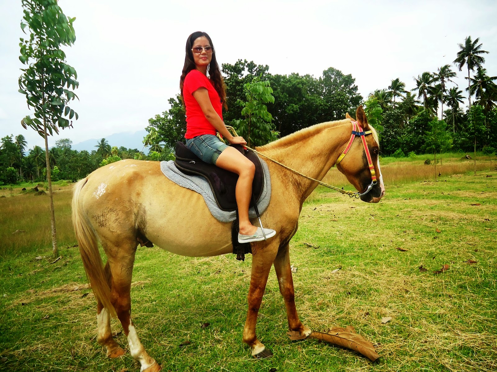 IT'S MORE FUN IN THE PHILIPPINES :-): CALO HORSE FARM