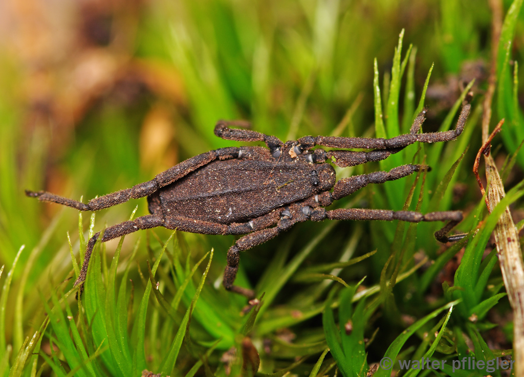 Nature photos from an Amateur Naturalist: Kalkalpen National Park ...