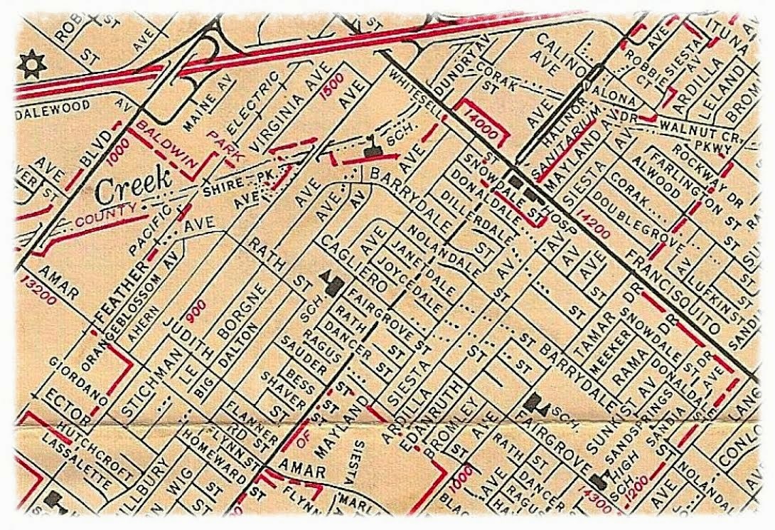 BARRYDALE STREET CHRONICLES: When the Carnival came to town...