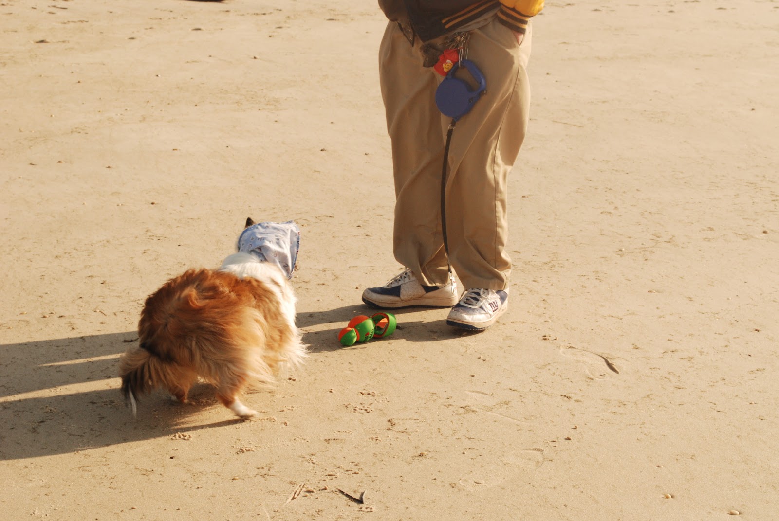 Margaret Montet: This is what low tide looks like in winter