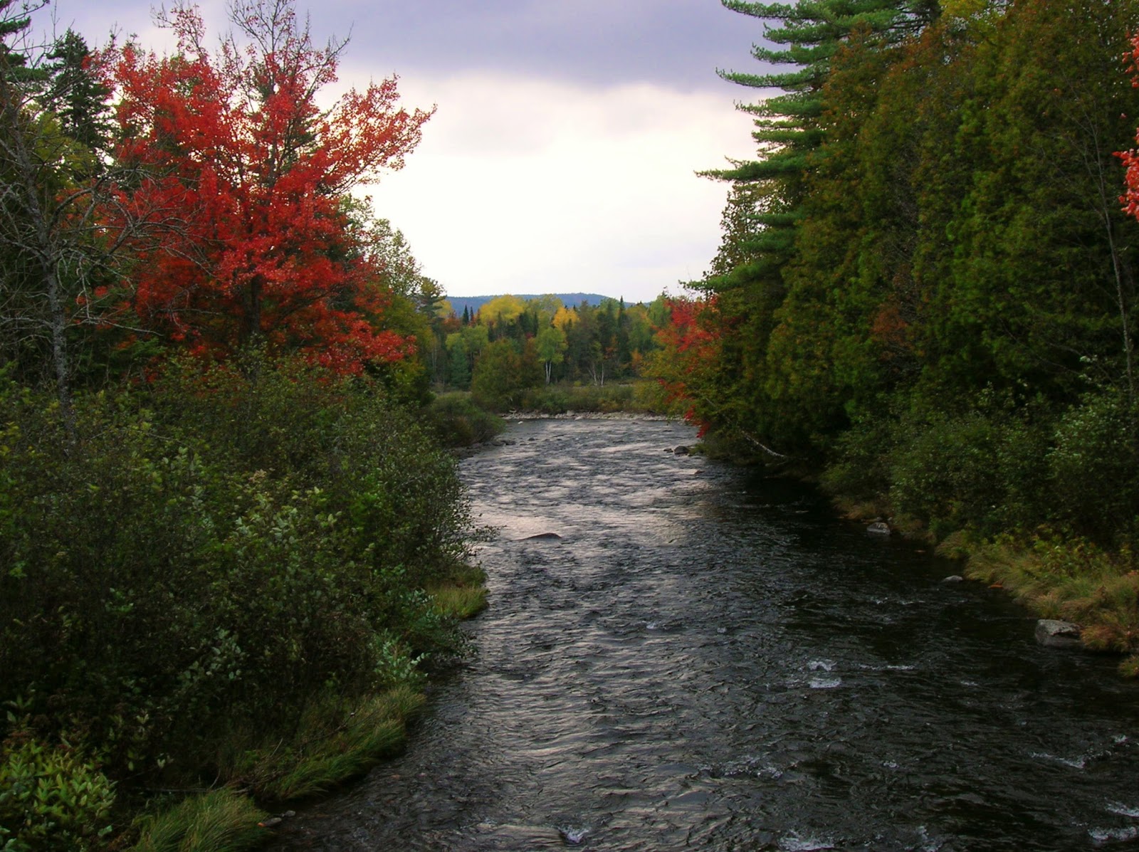 Small Stream Reflections: "Big River Reflections"