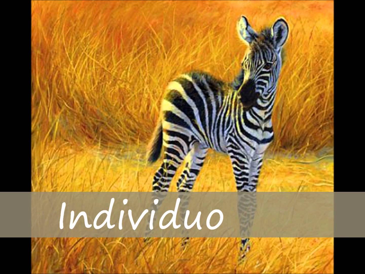 Organizacion Biologica: 2015