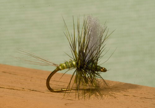 Phil Rowley Fly Fishing: Friends Family and Dry Fly Cutts