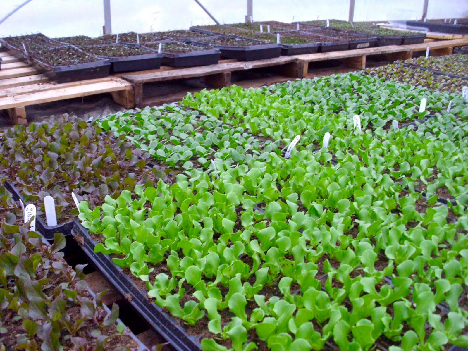 Groundworks Farm | Creating a Farm