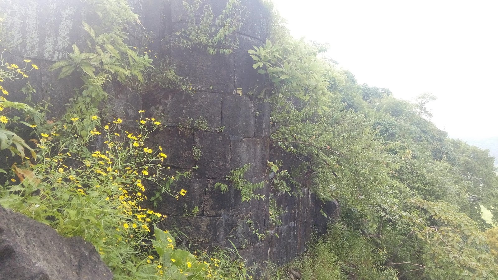 Ghosalgad Fort located near Roha in Raigad District in Maharashtra ...