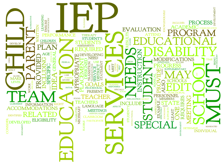 Andrew Milne SPED Reflections: Individual Education Plan (IEP) Reflection