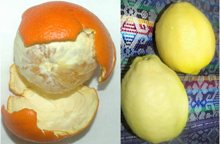 COOKING-VARIETIES : FOOD AND HEALTH BENEFITS: MAKE A MARMALADE RECIPE ...