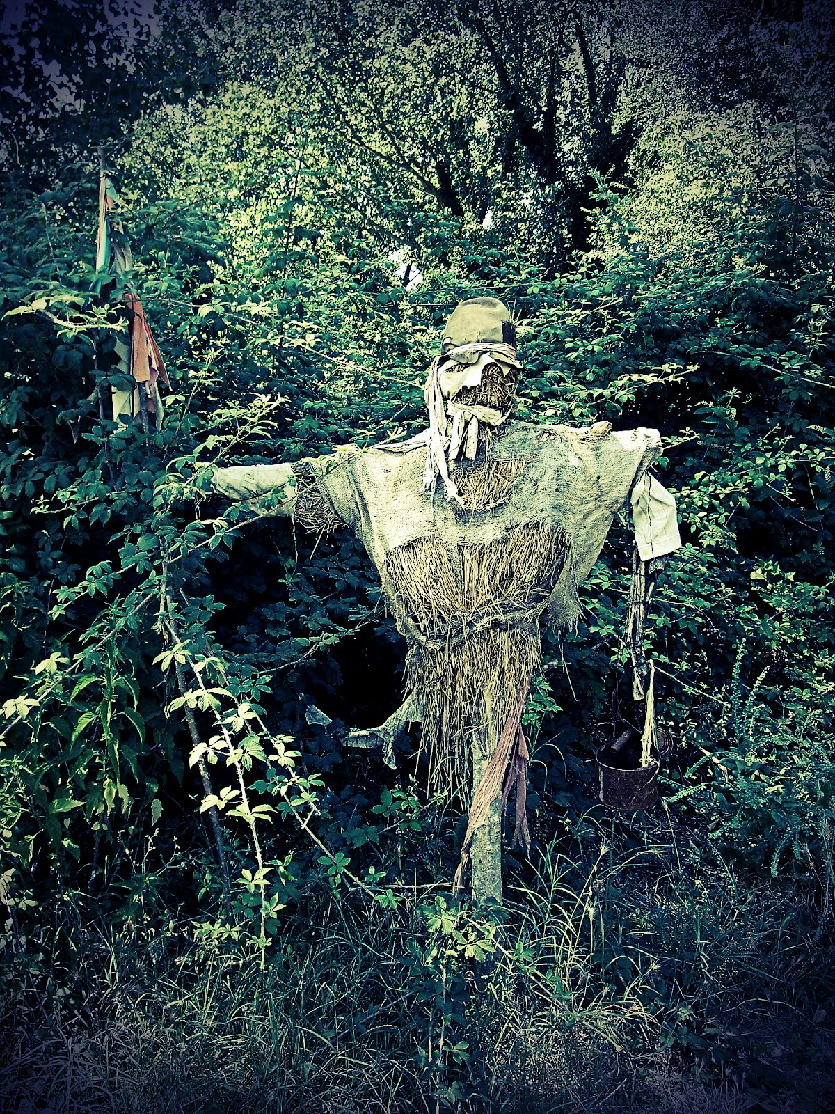 Unfettered Wood: Gaelic Polytheism & Folk Magic: Straw Men & the Art of ...