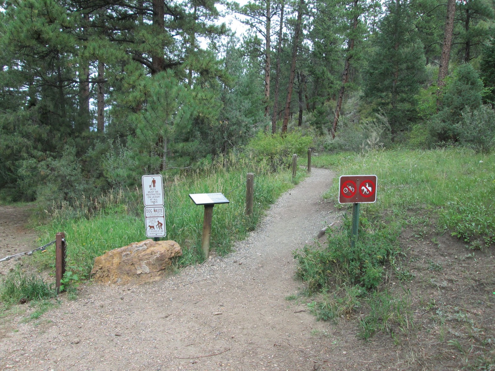 Day Hike Colorado: Braille Trail