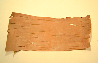 An Elephant a Day: Elephant No. 177: Birchbark Biting