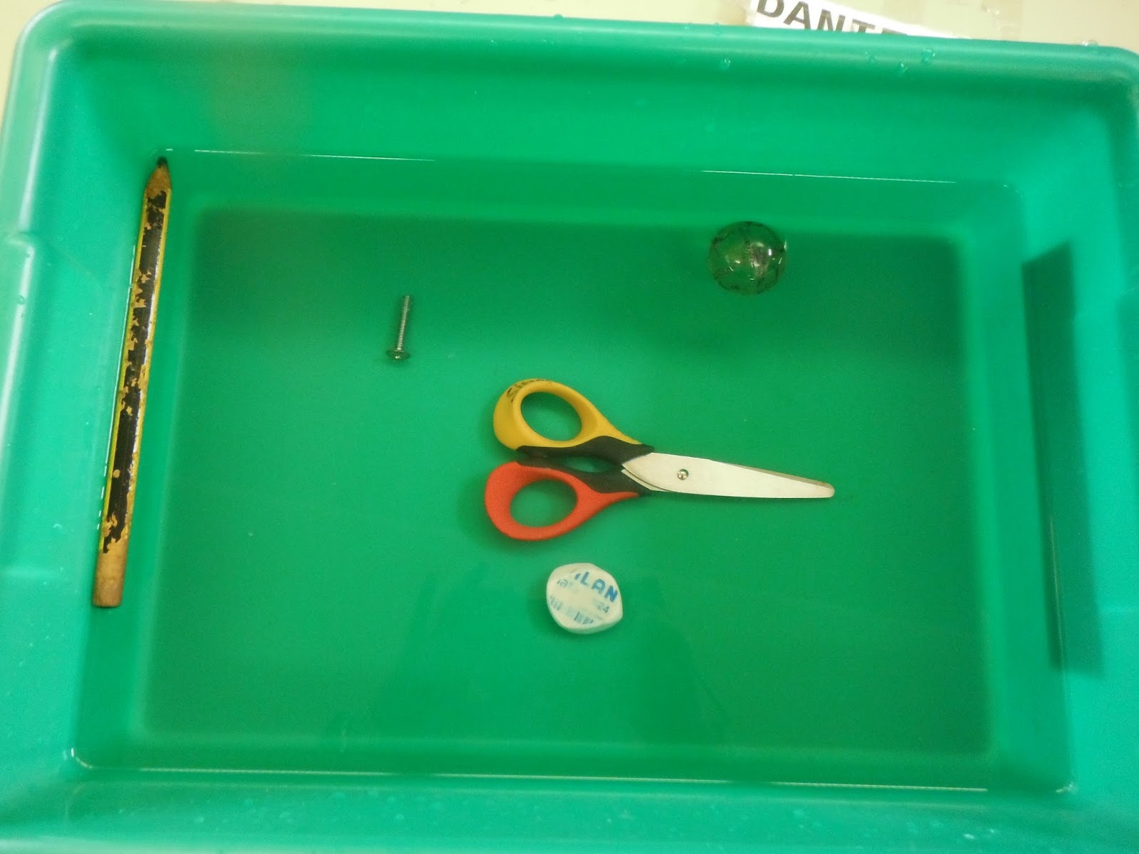 DUENDIAULA: ¿Flota o no flota?