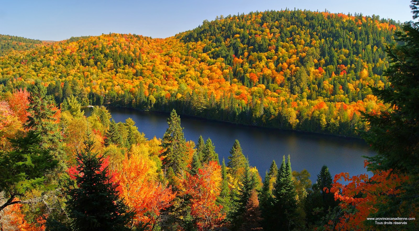 Province canadienne: Jours d'Automne, au parc de la Mauricie