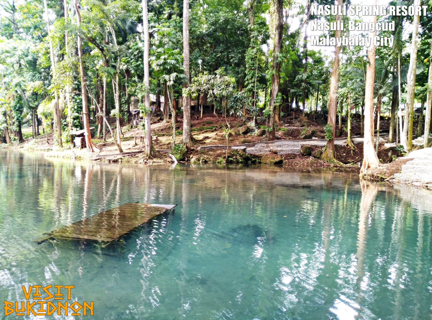 BUKIDNON UNLIMITED: NASULI SPRING RESORT