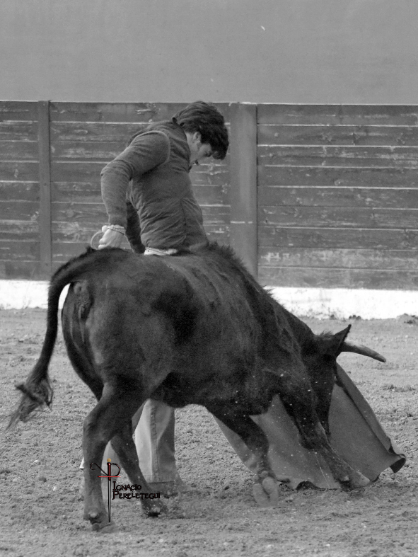 La Suerte Natural: LA HORA DE JOSÉ GARRIDO