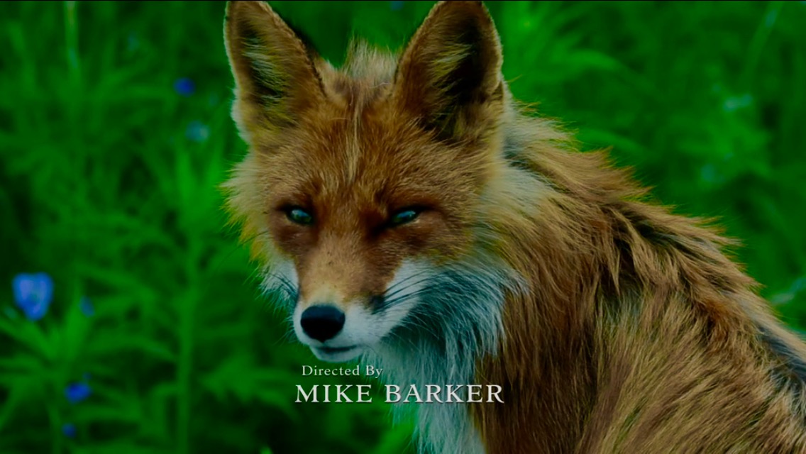 The King of Men Arrives and Meets A Fox: Recap of Episode 208 "The Fox ...