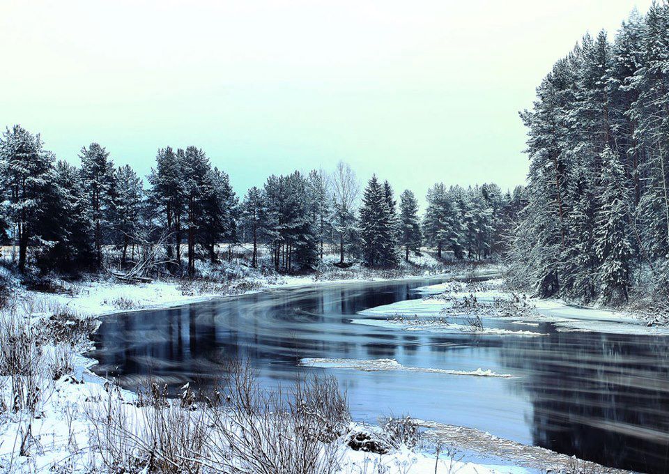 What's the Diehl?: 2012