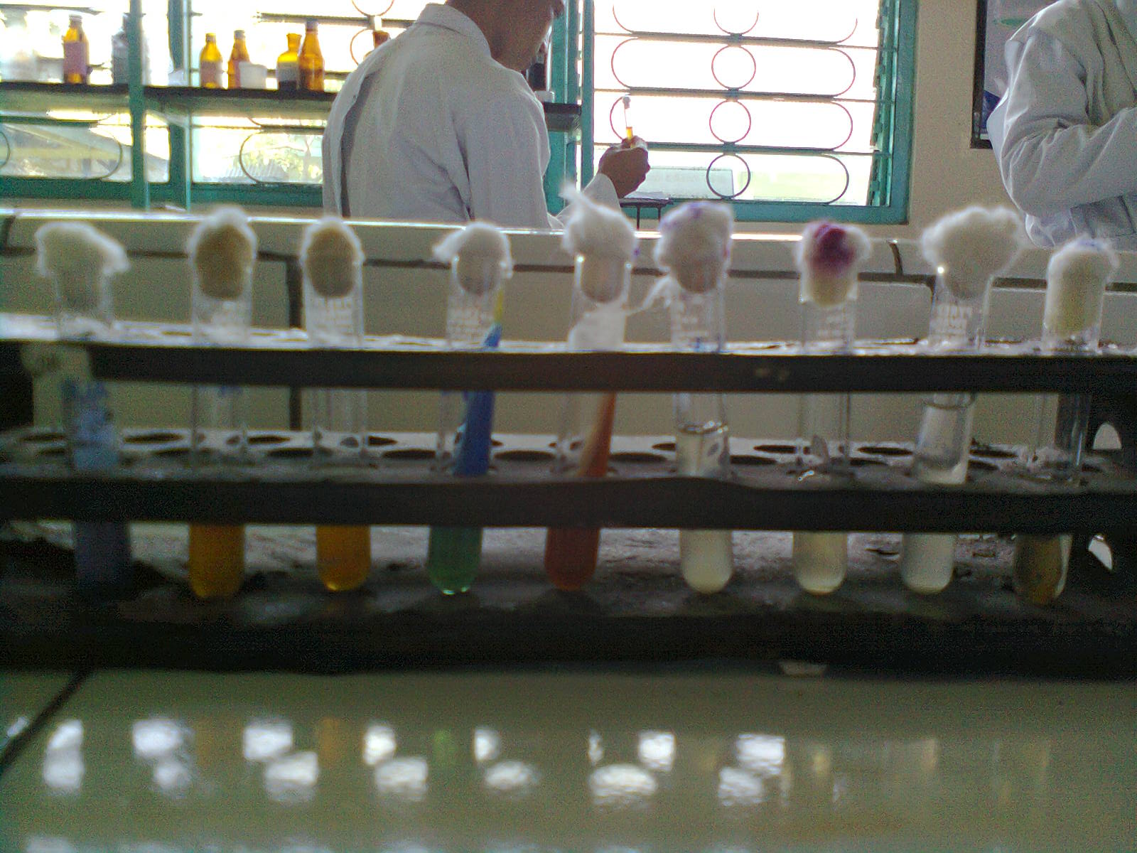 Teenoz Health Analyst: Gambar Hasil Identifikasi Klebsiella