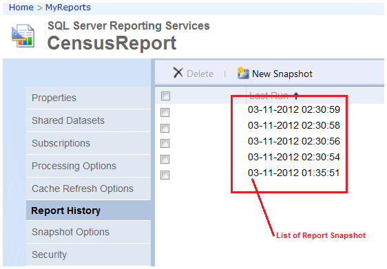 Sqlcircuit Ssrs How To Create Report Snapshot And How To Utilize It