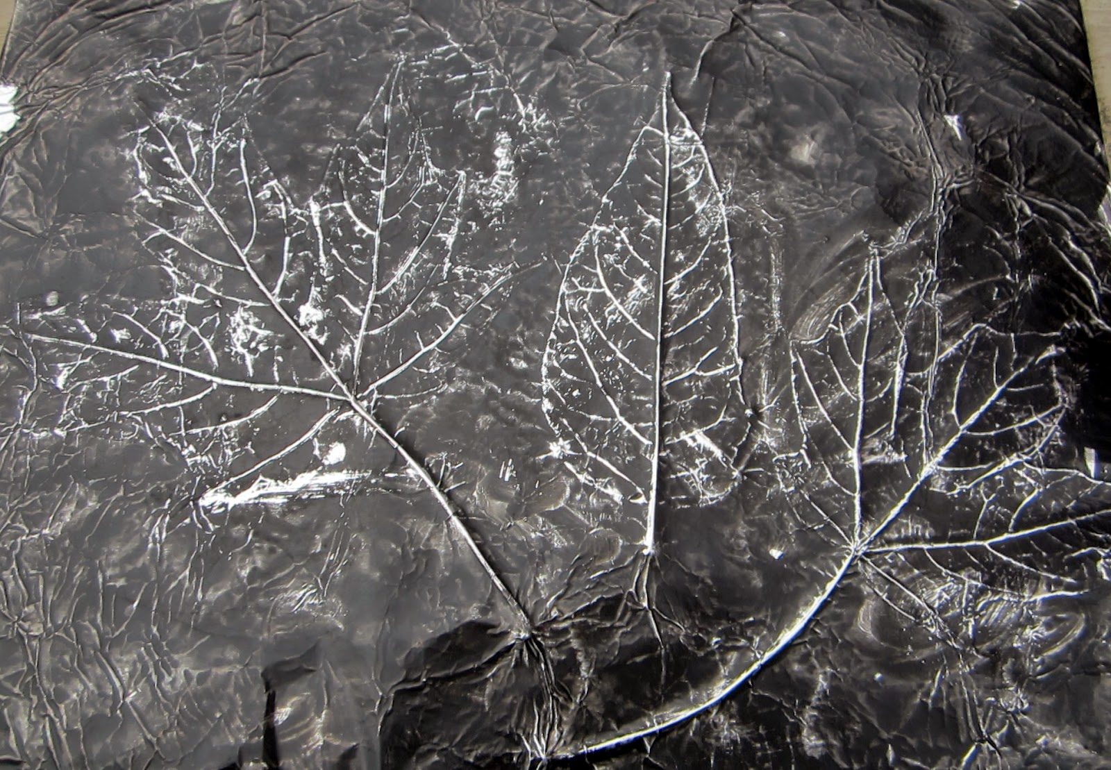 art and soul preschool: Leaf Rubbings