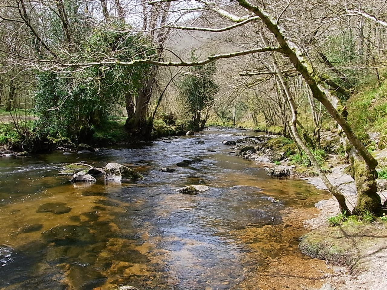 The Original PurpleTraveller....: A visit to Fingle Bridge....