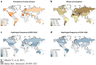 Tan Medicine: Should Patients with Hypothyroidism Avoid Wheat?