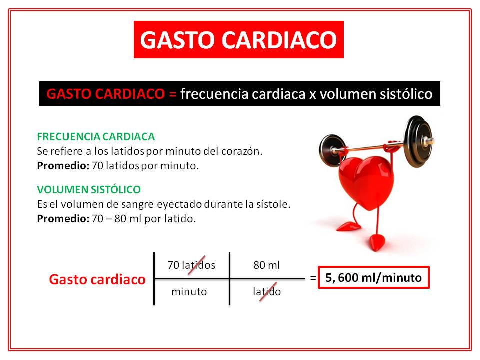 FISIOLOGÍA HUMANA: Gasto cardiaco