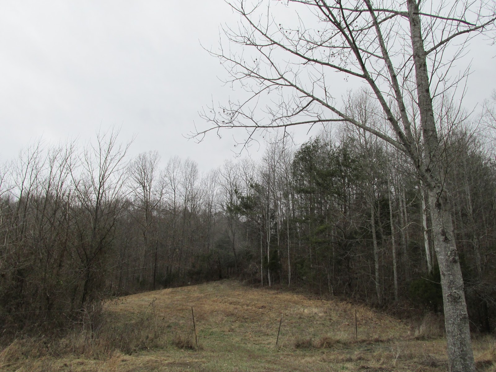 Morning's Minion: Dreary January Weather