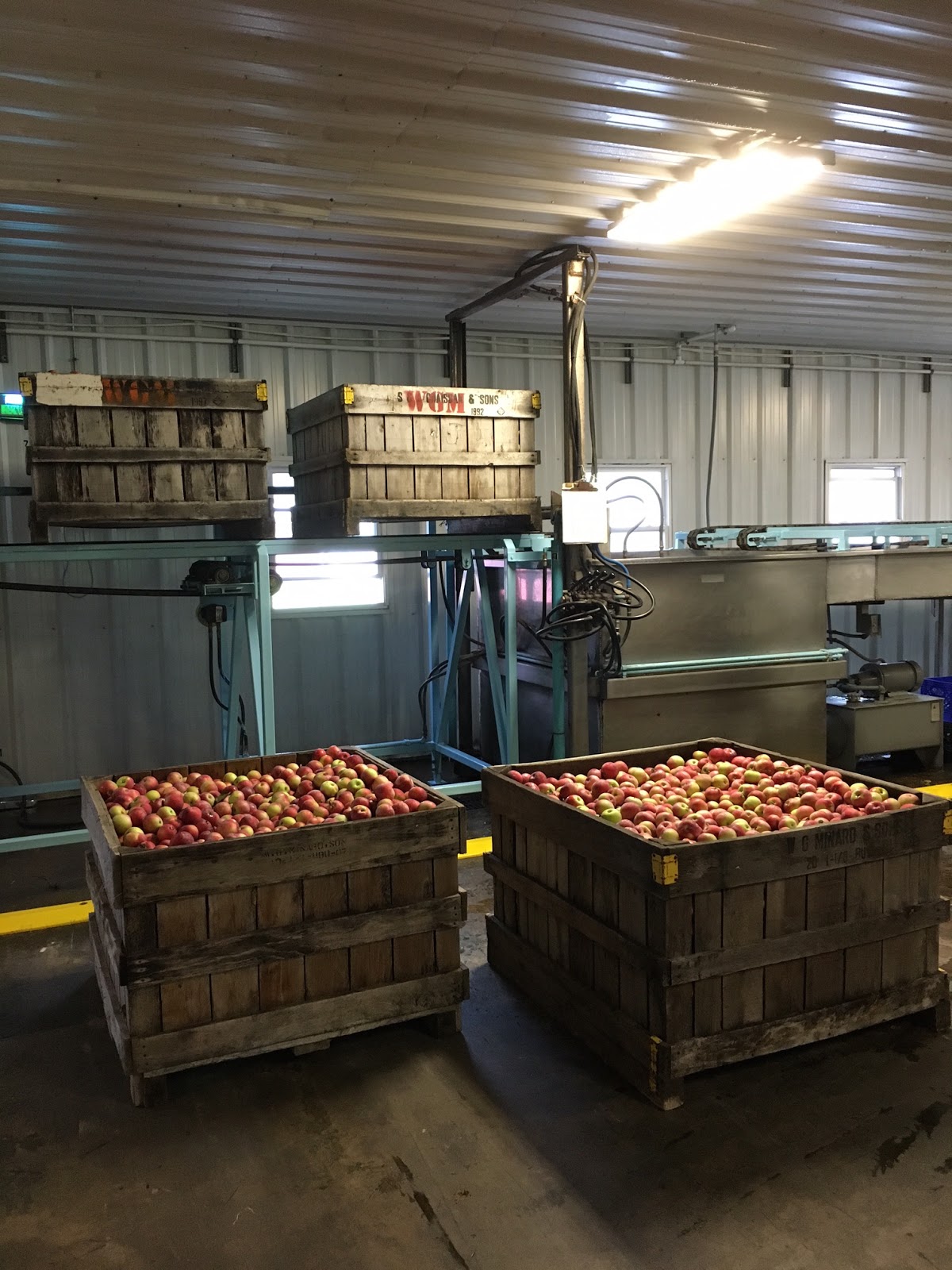 Ryan & Ryan Insurance Brokers: Ryan & Ryan Insurance Broker's Client of ...