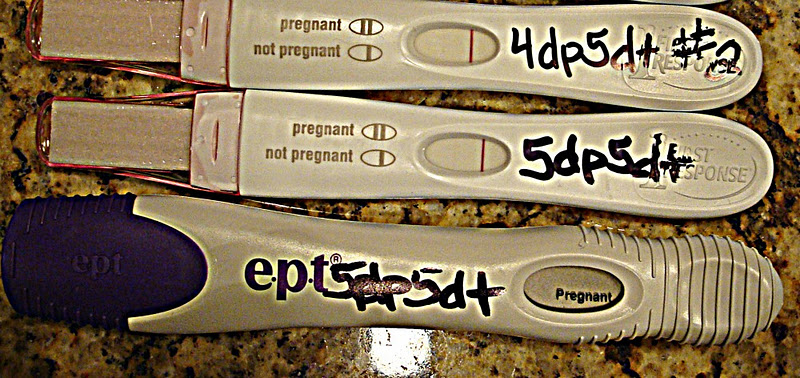 Let the journey begin...: Pregnant or not pregnant.. that IS the question!