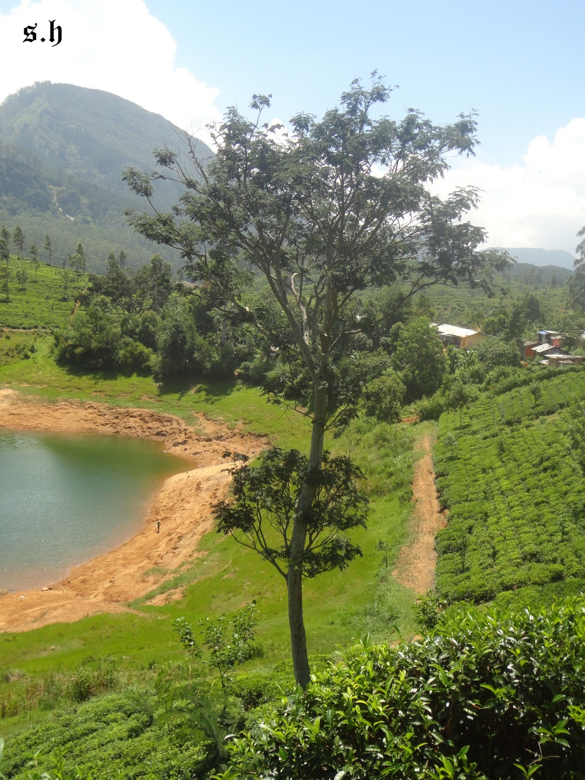 picture box: nacharal