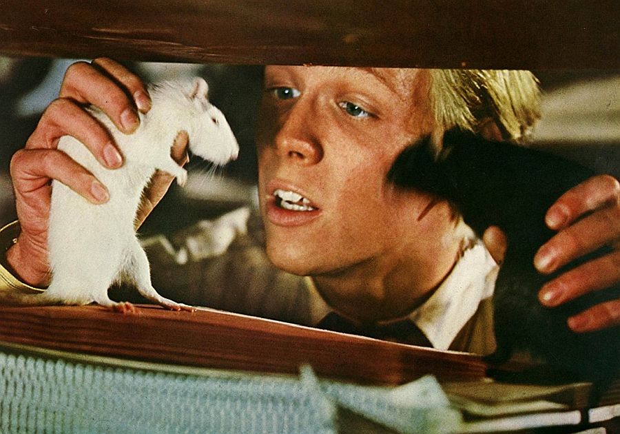 Favorite Hunks & Other Things: Rats: Bruce Davison in Willard