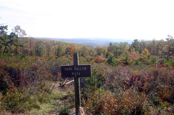 phyllis`s view: Michaux State Forest