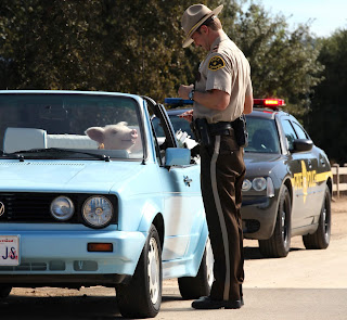It Is A Glorious Day: Police Discover Driver Hogging the Road With a ...