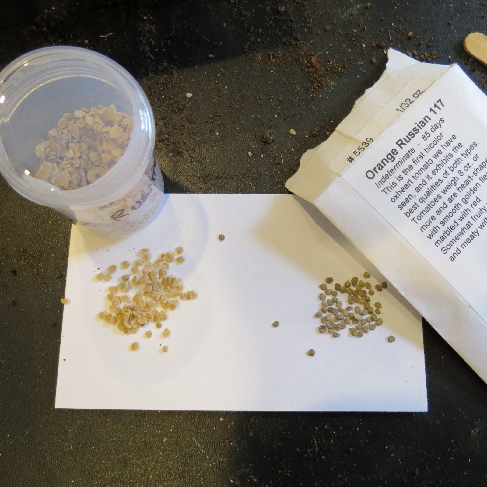 The Rusted Vegetable Garden